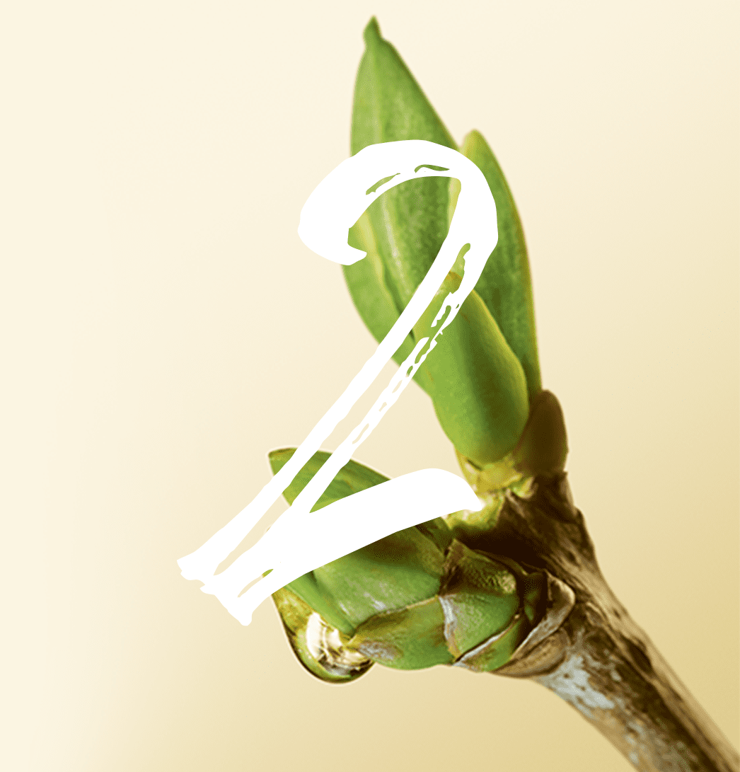 Franchise Yves Rocher • Et si c'était vous